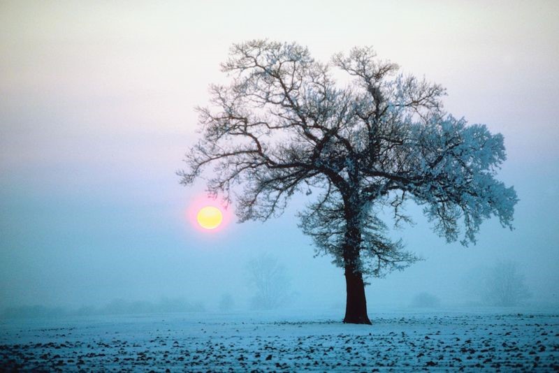 In the Bleak Midwinter (revisited) | My Rhymes and Reasons