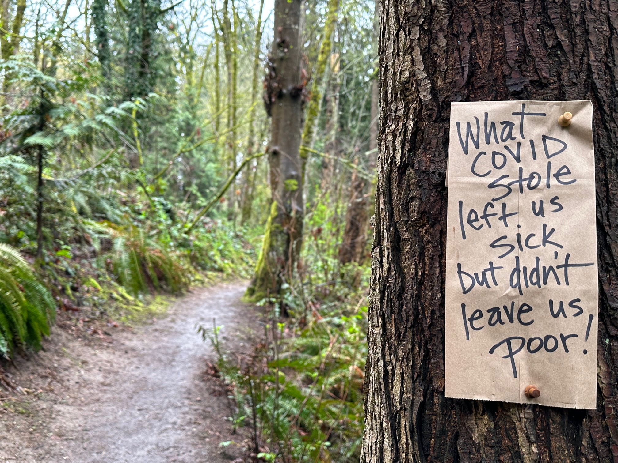 The Paper Bag Poet Rhymes Again | My Rhymes and Reasons