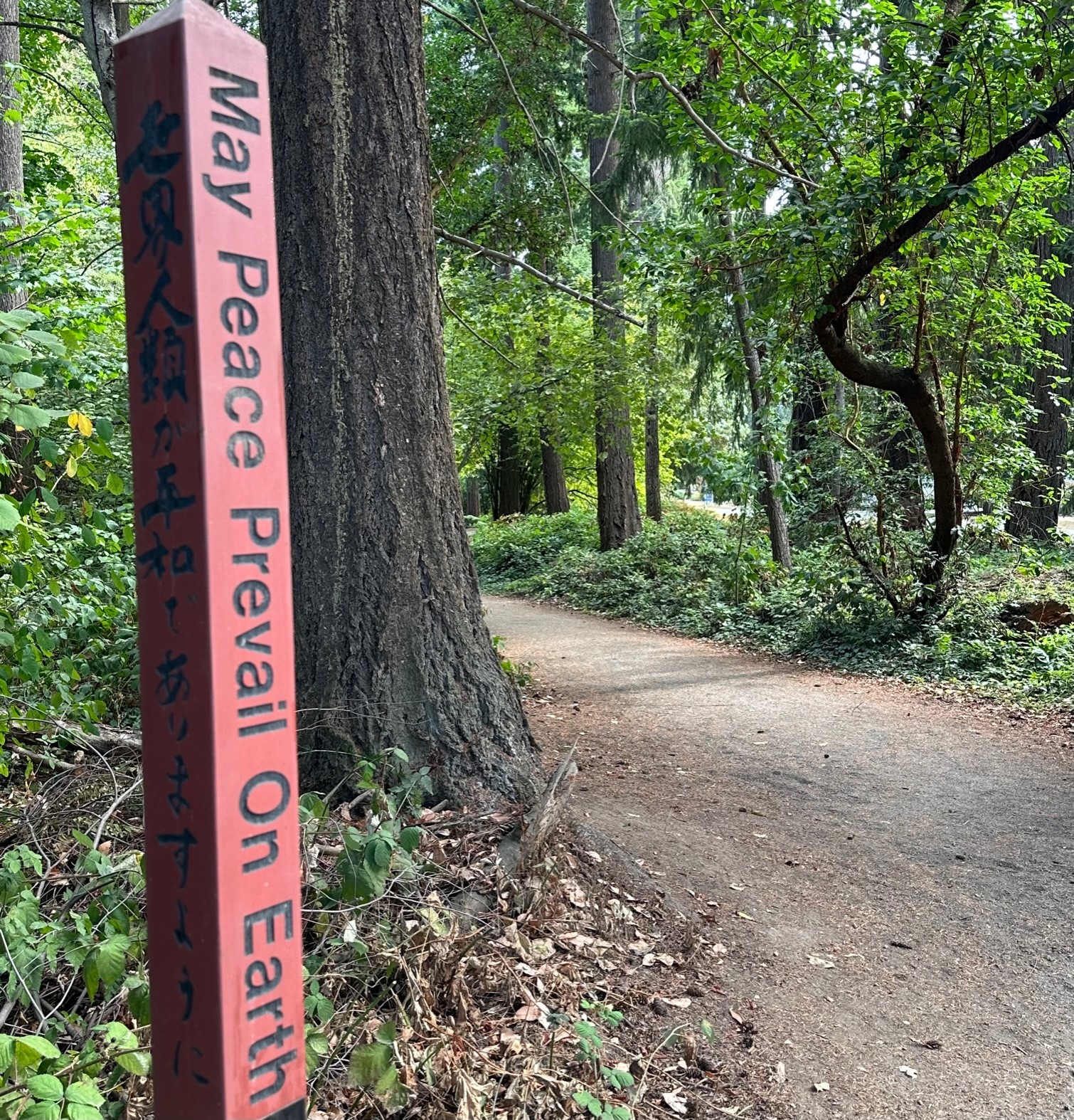 A Prayer for Peace | My Rhymes and Reasons