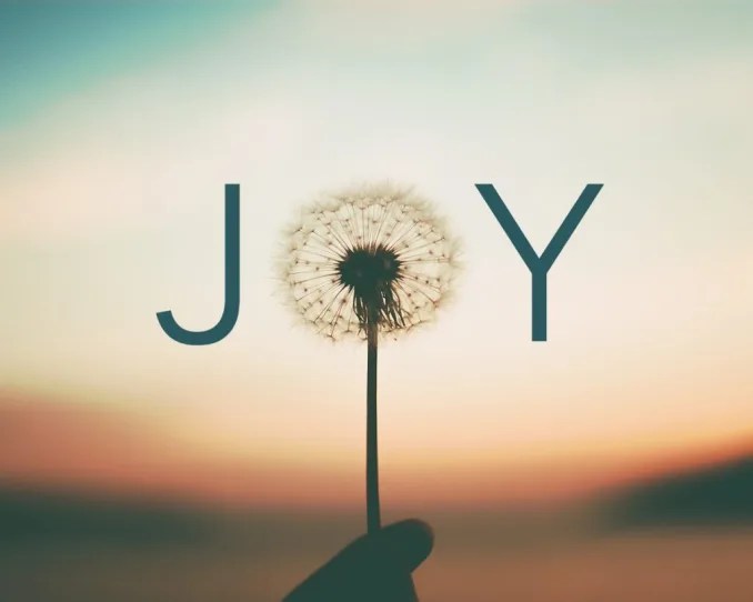 What is Joy? | My Rhymes and Reasons
